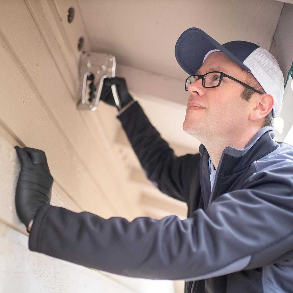 Pest Control for Warehouses & Storage Facilities | PURCOR Pest