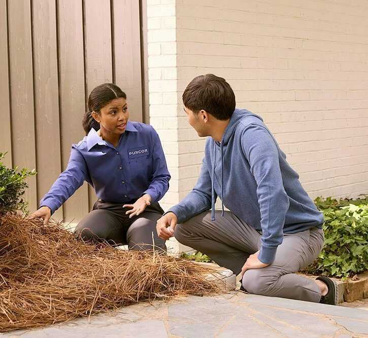 Wildlife Control & Removal Services | PURCOR Pest