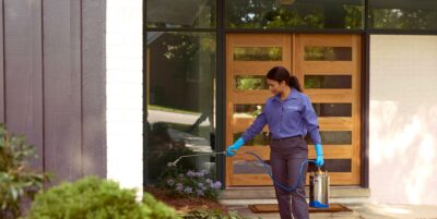 Pest Control Services & Exterminator | Find Pest Control Near You