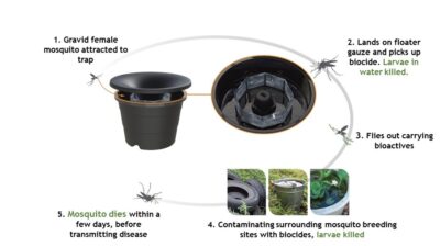 In2Care Mosquito Station for Effective Control : Eco-fiendly
